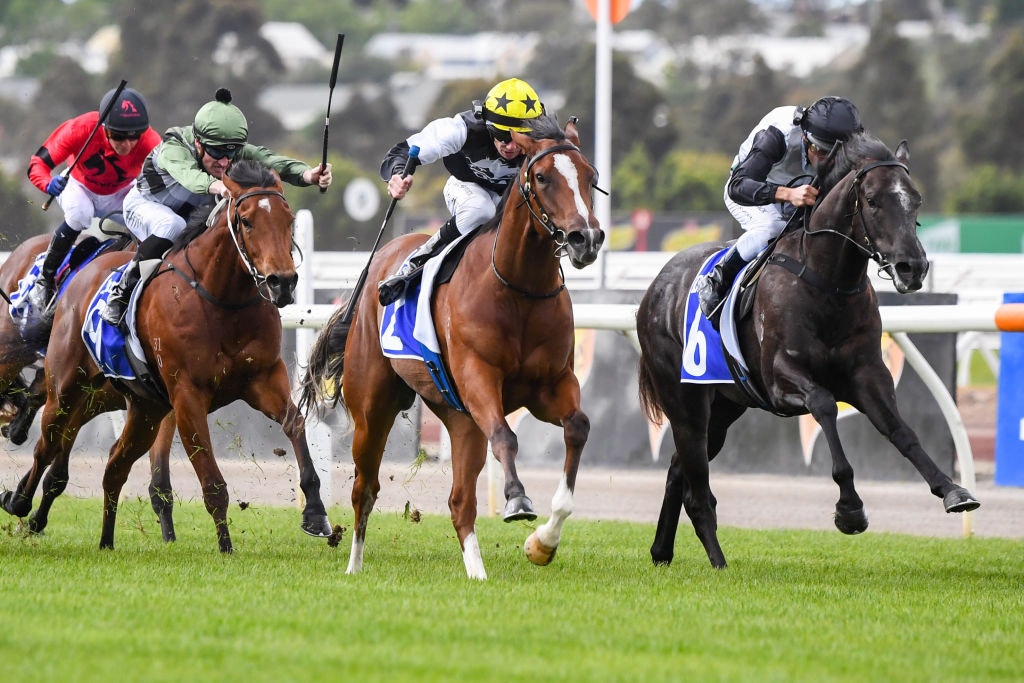 Results: Lexus Melbourne Cup Day 2022 - Network Ten Results: Lexus Melbourne Cup Day 2022 - Network Ten