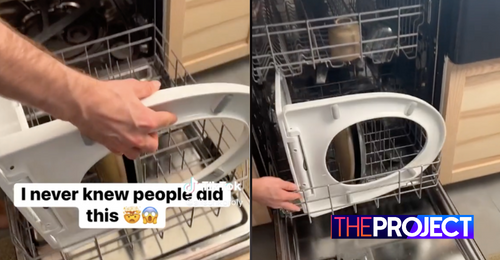 Tiktoker Horrifies Followers By Putting Toilet Seat In The Dishwasher